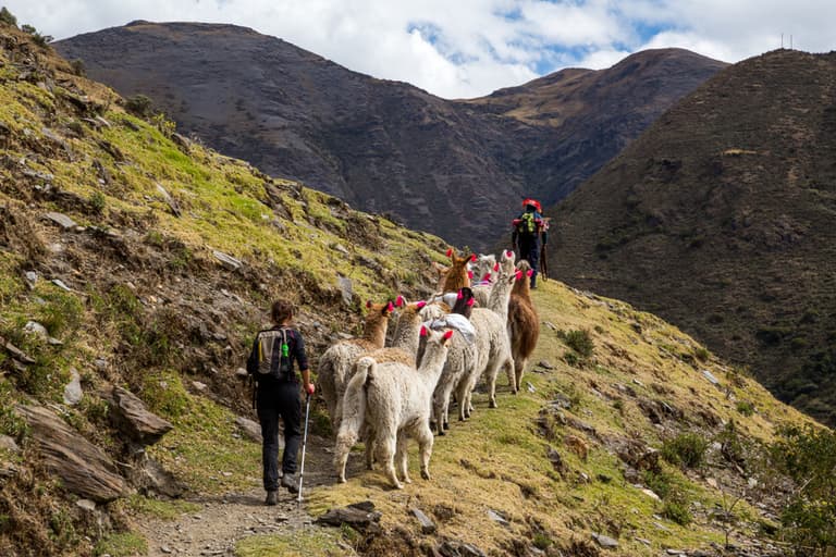 Lares Trek Peru: The Best Alternative - Trail, Altitude, Map