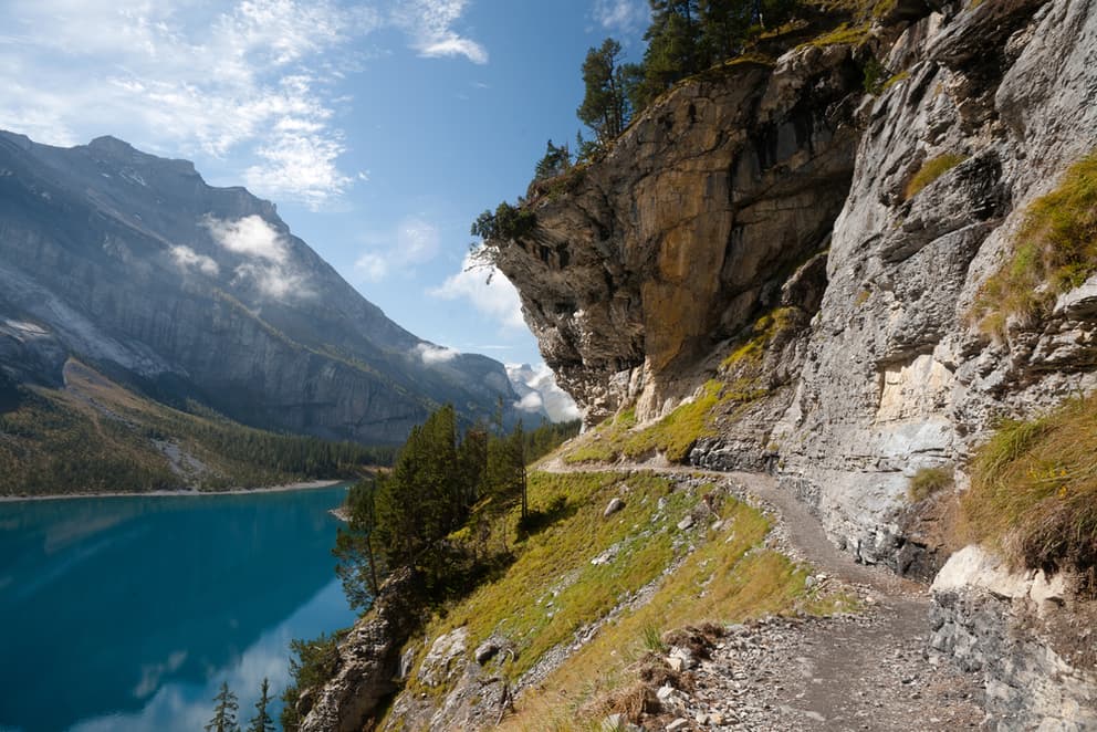 Book Your Traditional Bear Trek in the Swiss Alps Safely and Securely